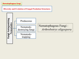 Fungi-Nematode Interaction: Diversity, Ecology and Bio-control ...