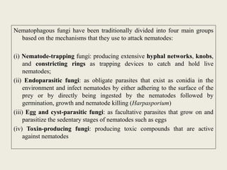Fungi-Nematode Interaction: Diversity, Ecology and Bio-control Prospects in Agriculture | PPTX