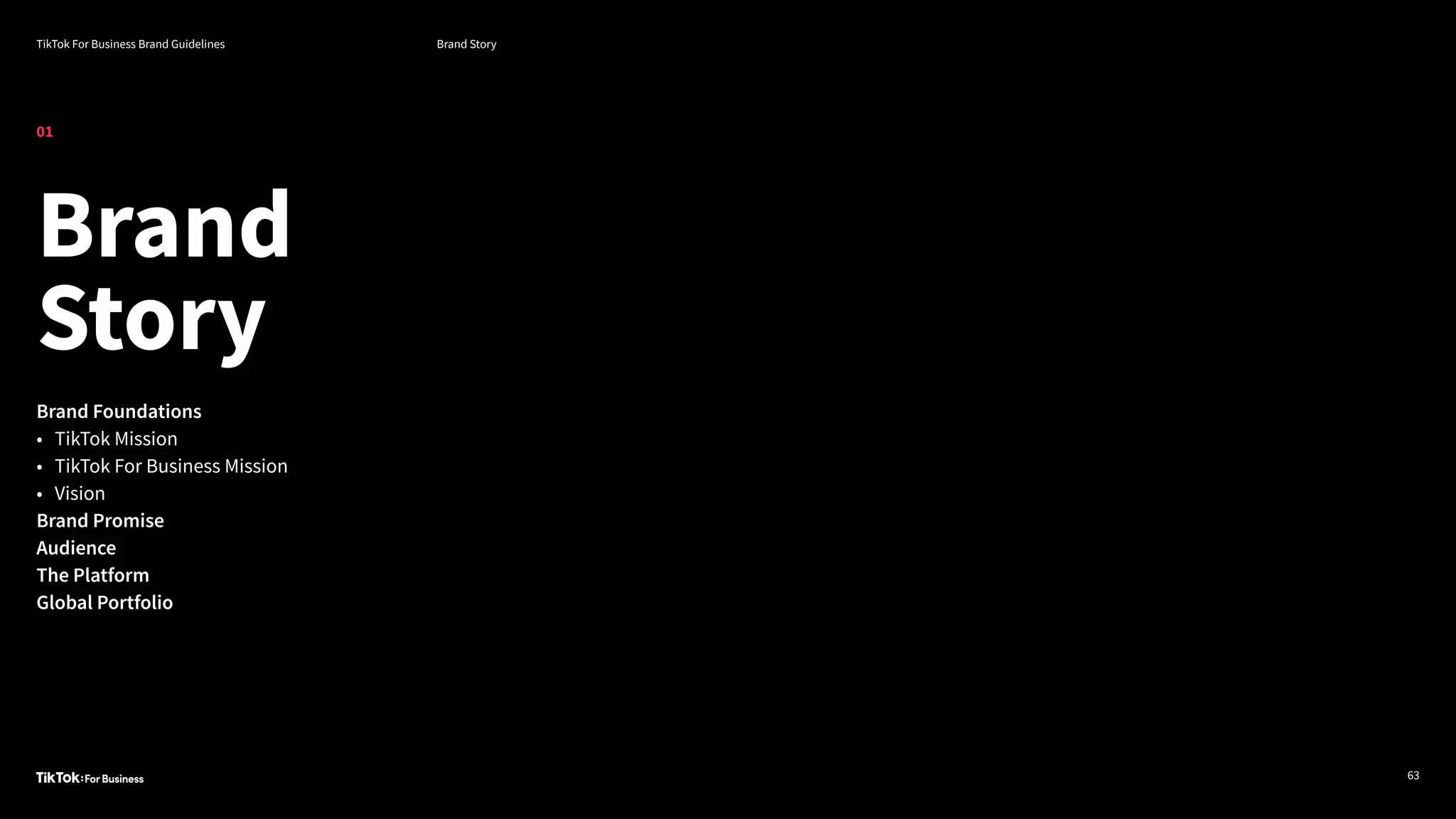 TikTok_guidelines (1).pdf