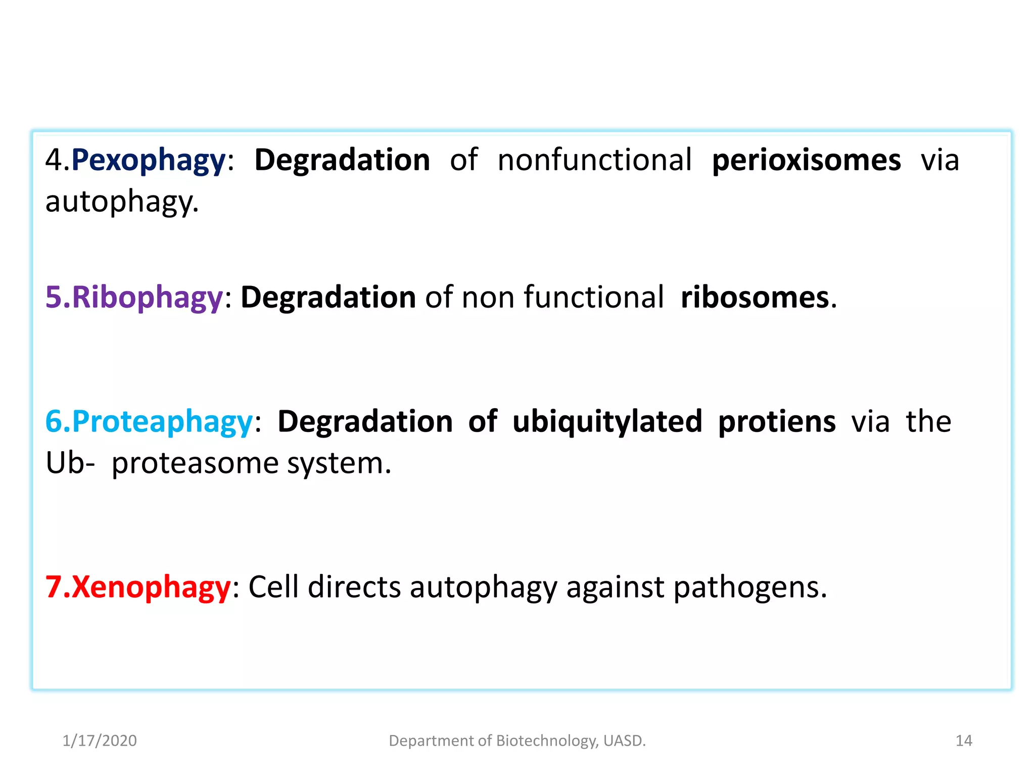 Autophagy and its role in plants - By Tilak I S, Dept. of Biotechnology ...