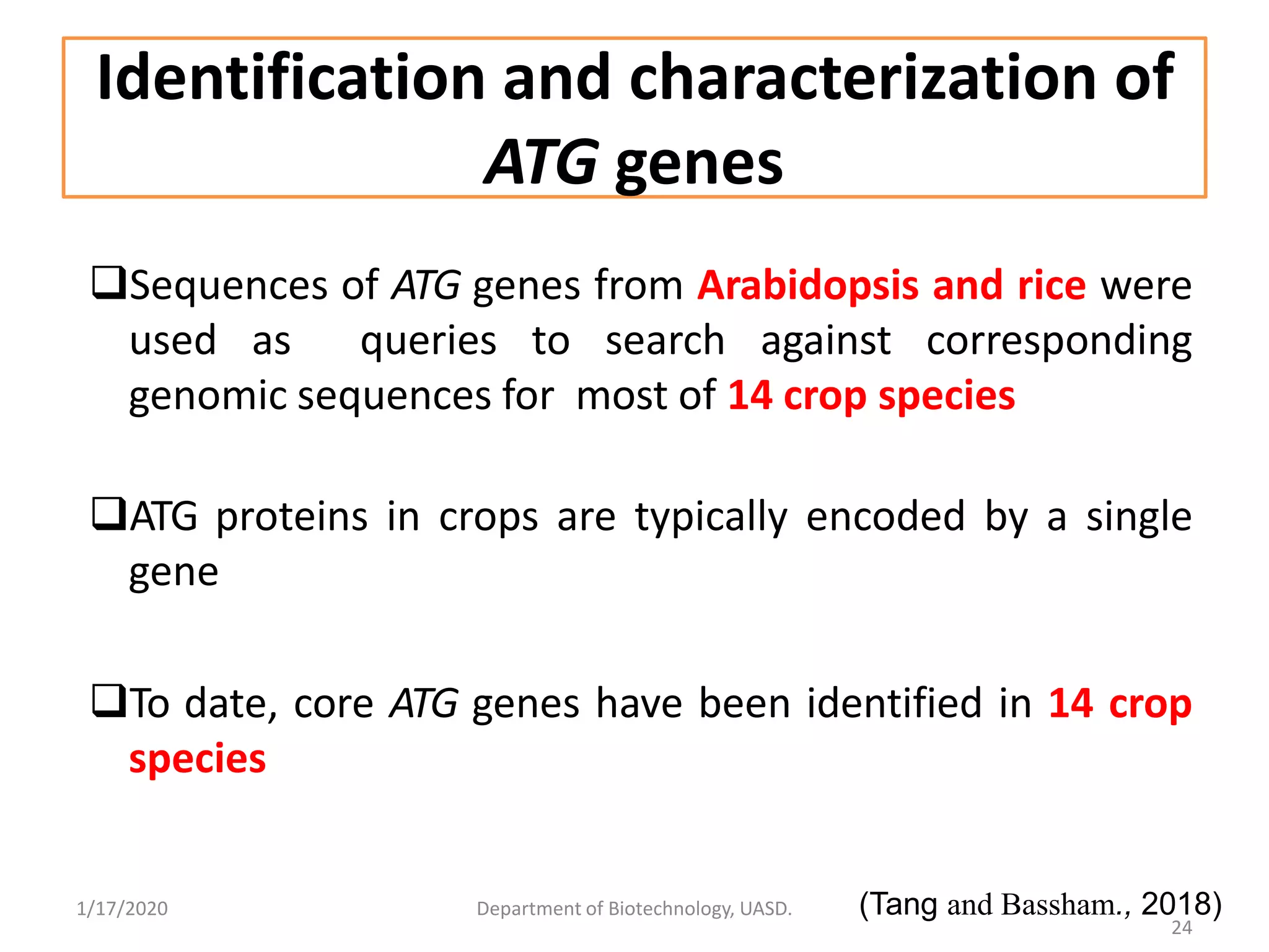 Autophagy and its role in plants - By Tilak I S, Dept. of Biotechnology ...