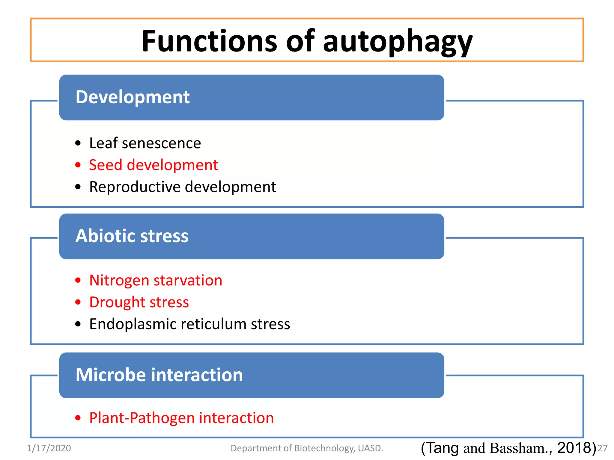 Autophagy and its role in plants - By Tilak I S, Dept. of Biotechnology ...