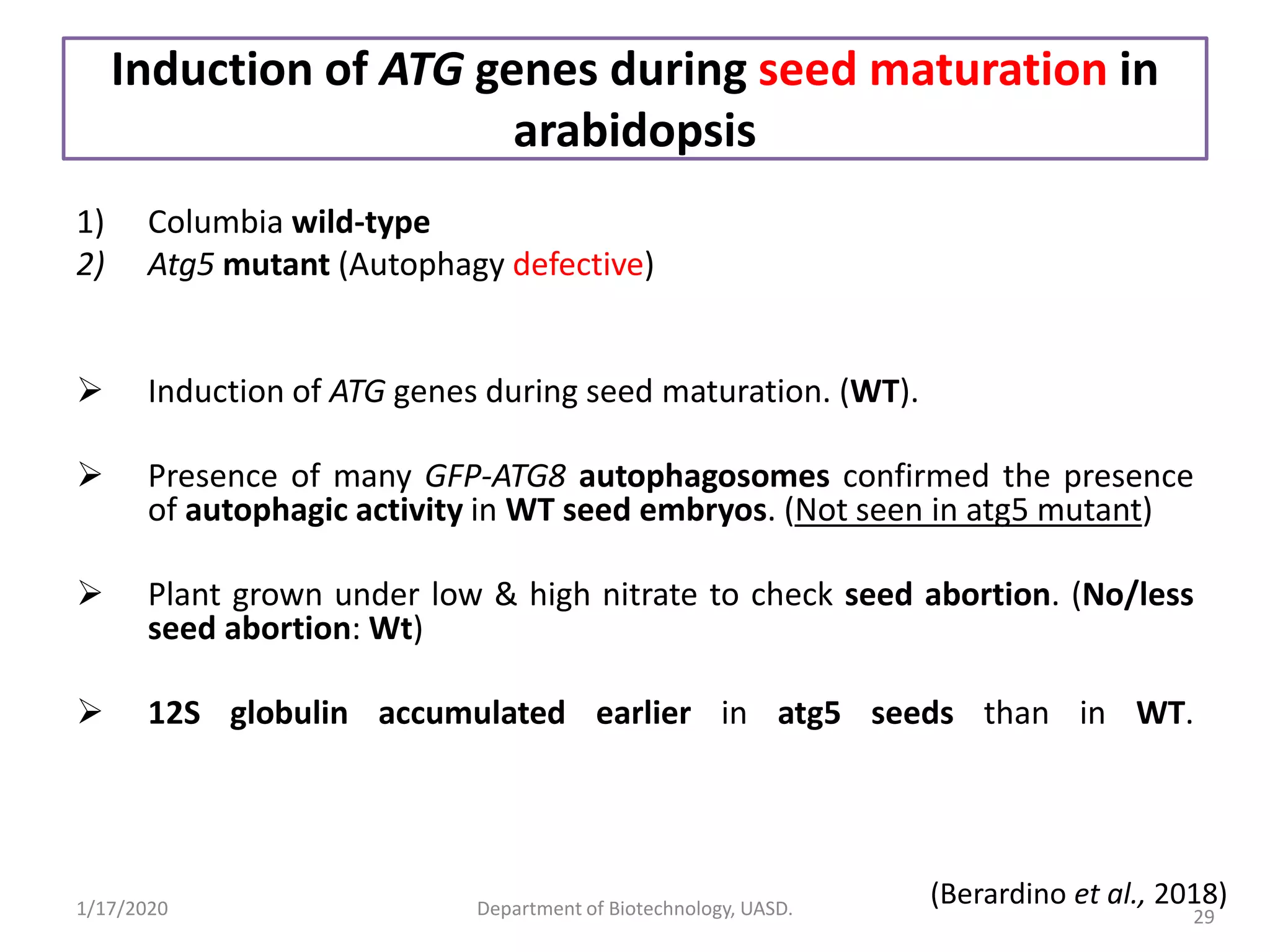Autophagy and its role in plants - By Tilak I S, Dept. of Biotechnology ...