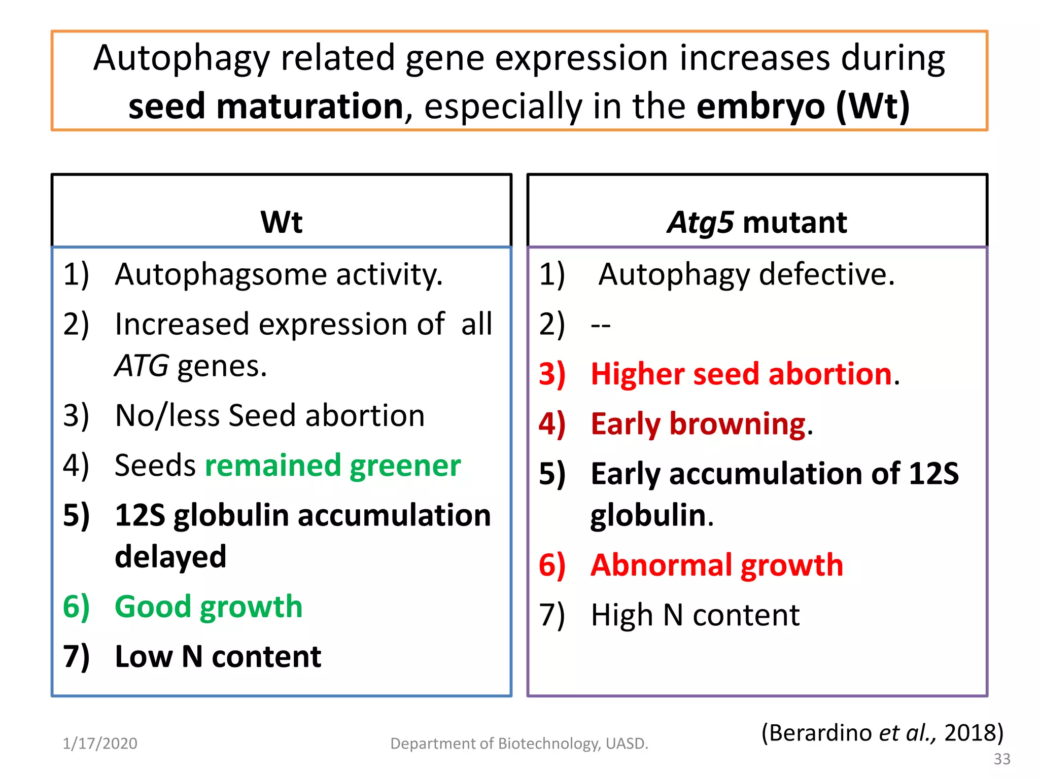 Autophagy and its role in plants - By Tilak I S, Dept. of Biotechnology ...