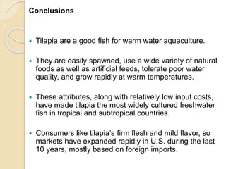 Tilapia bio & cul jitendra | PPTX | Zoos & Aquariums | Attractions