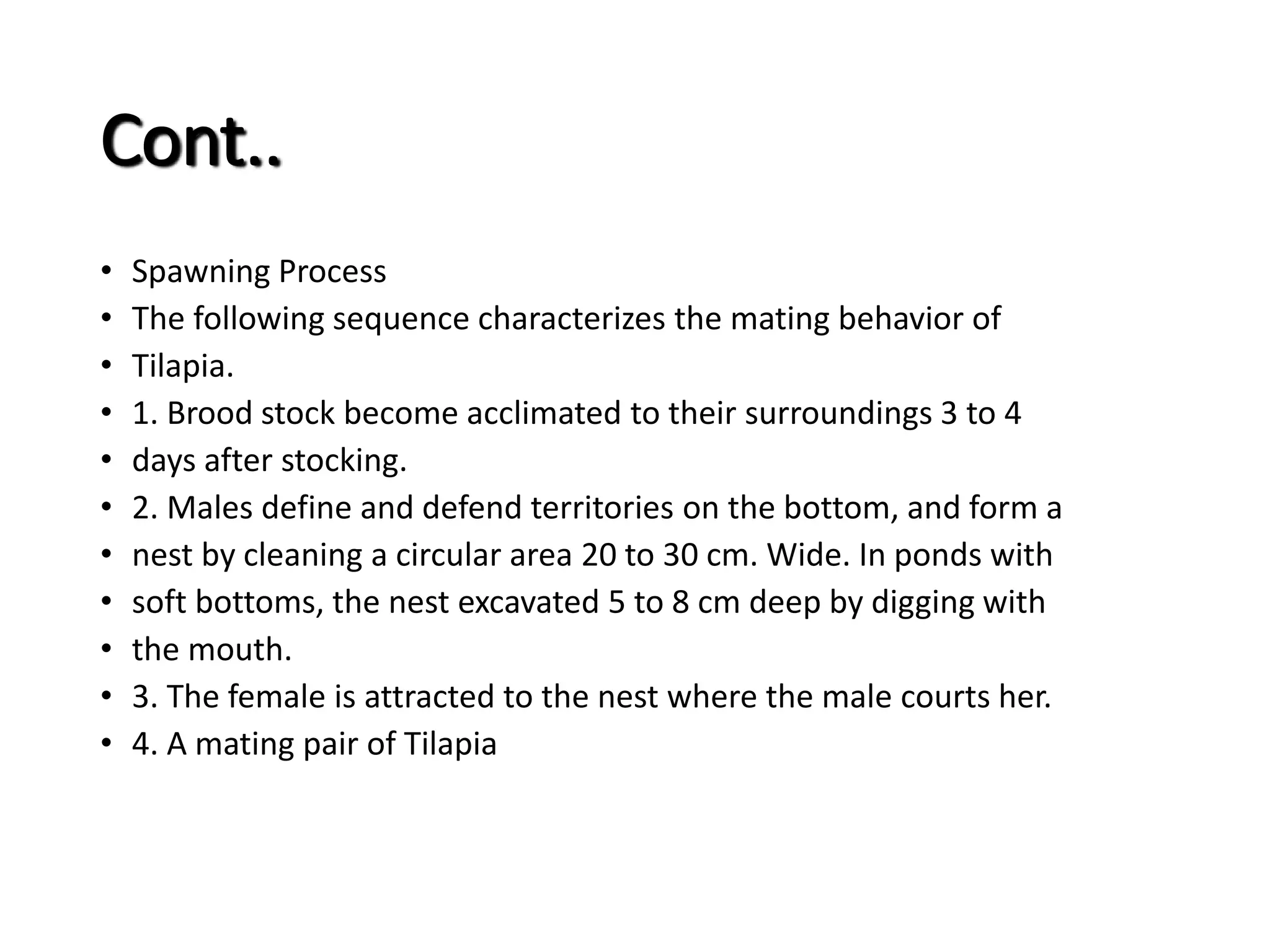 Tilapia breeding | PPTX