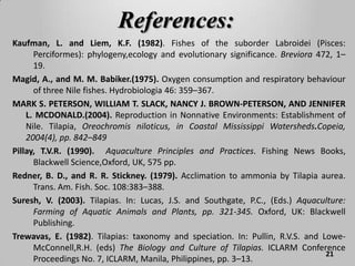 Tilapia culture | PPTX