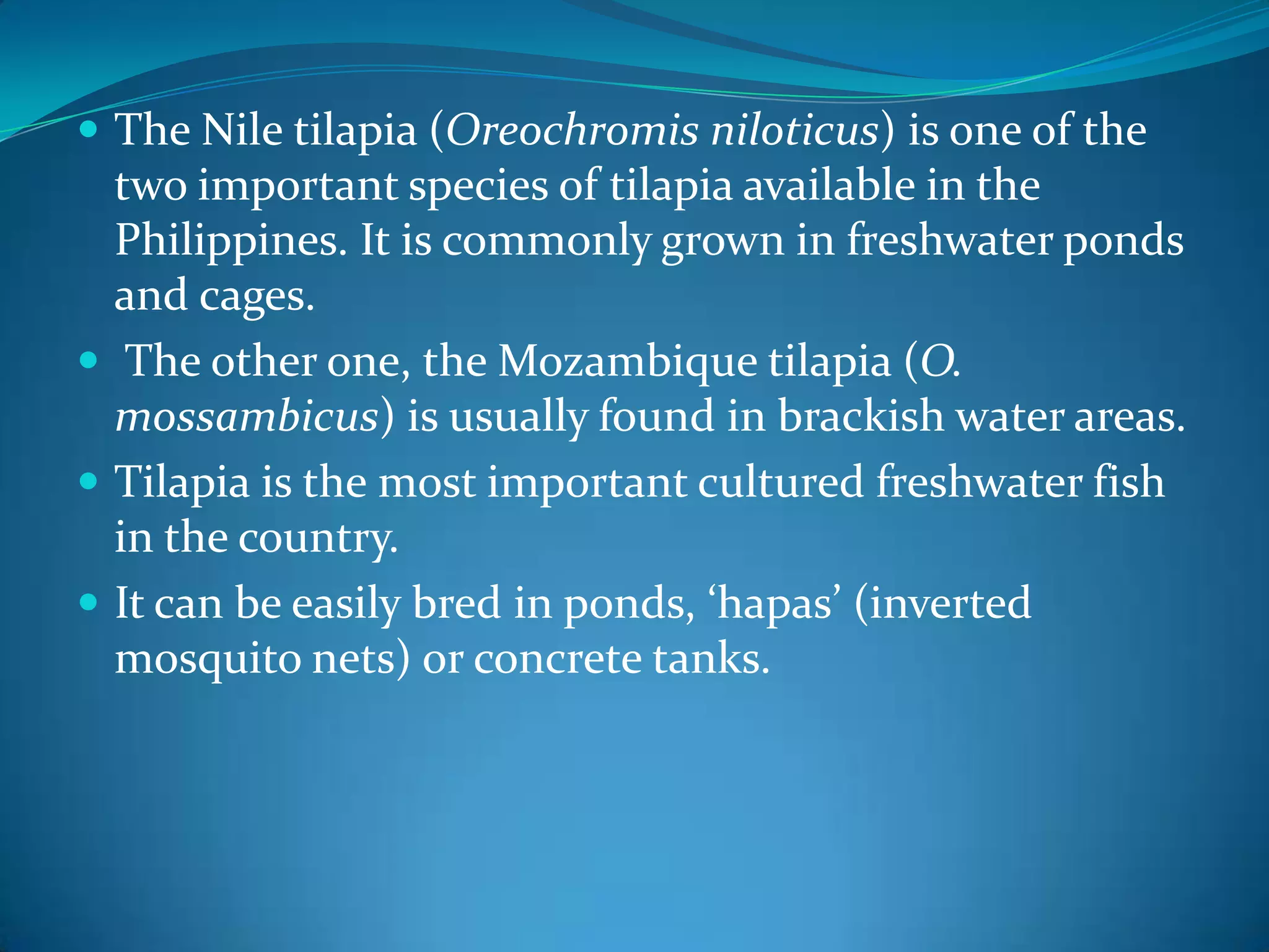 Tilapia culture | PPTX