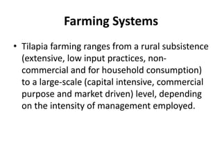 Tilapia culture1.pptx