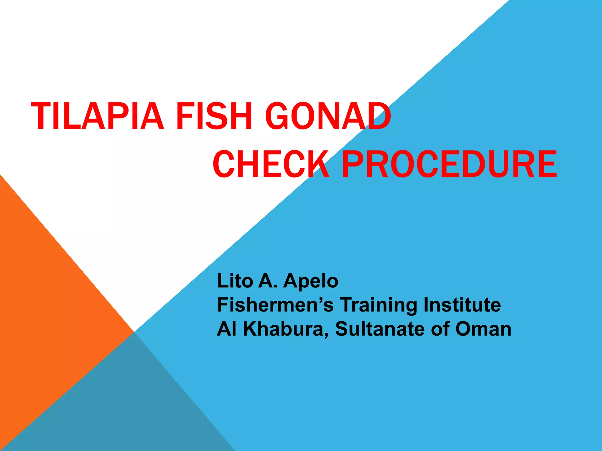 Tilapia gonad check procedure | PPTX