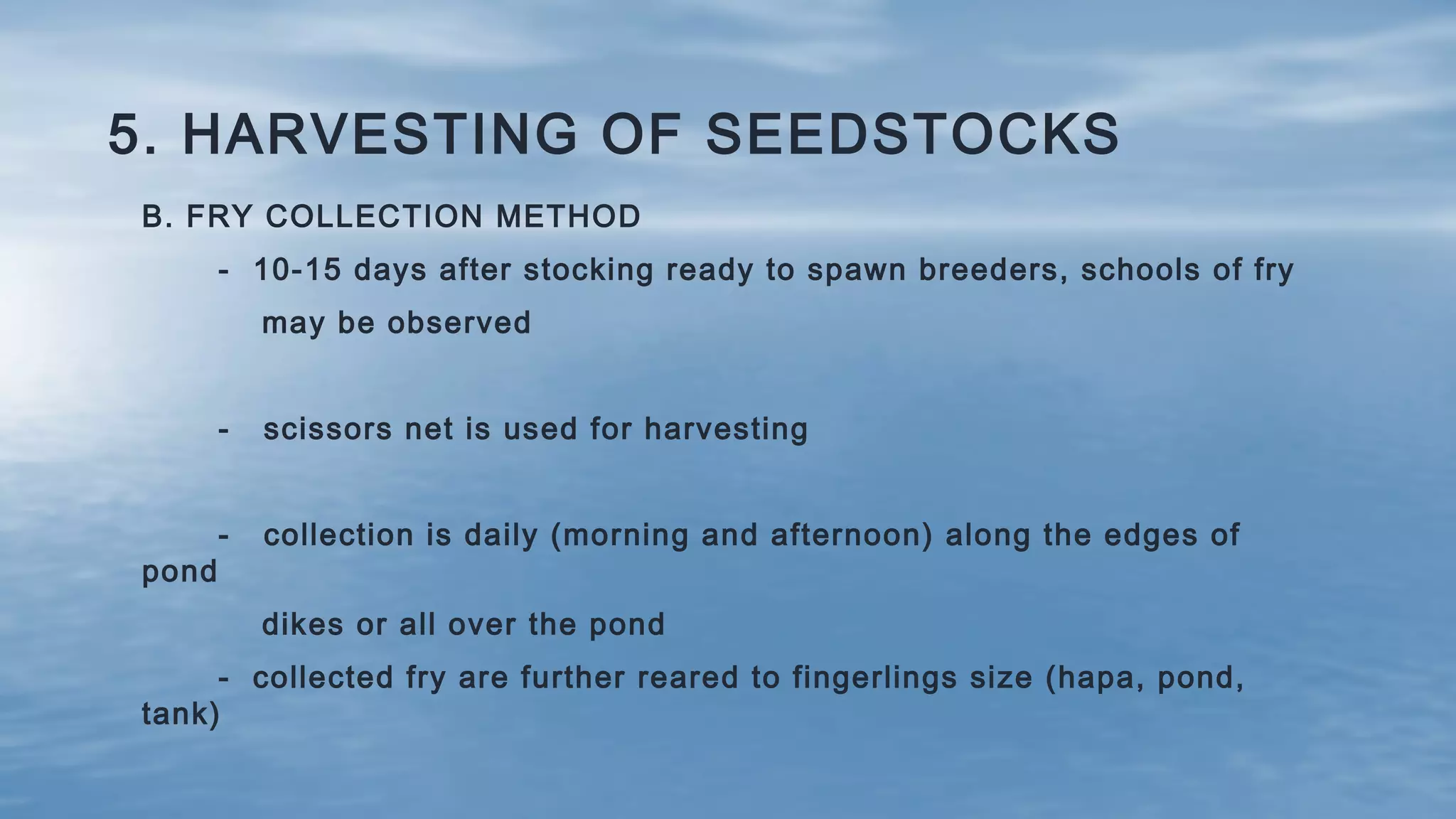 Tilapia Hatchery Management and Fingerling Production | PPT