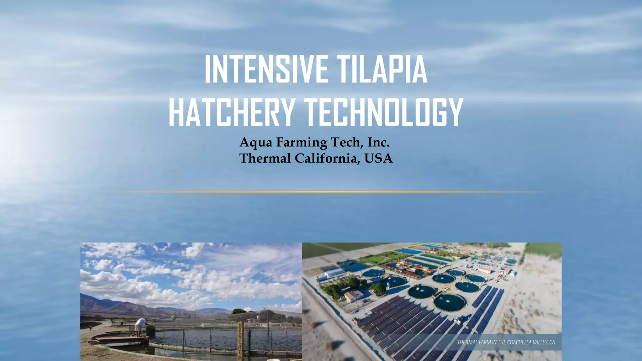Tilapia Hatchery Management and Fingerling Production | PPT