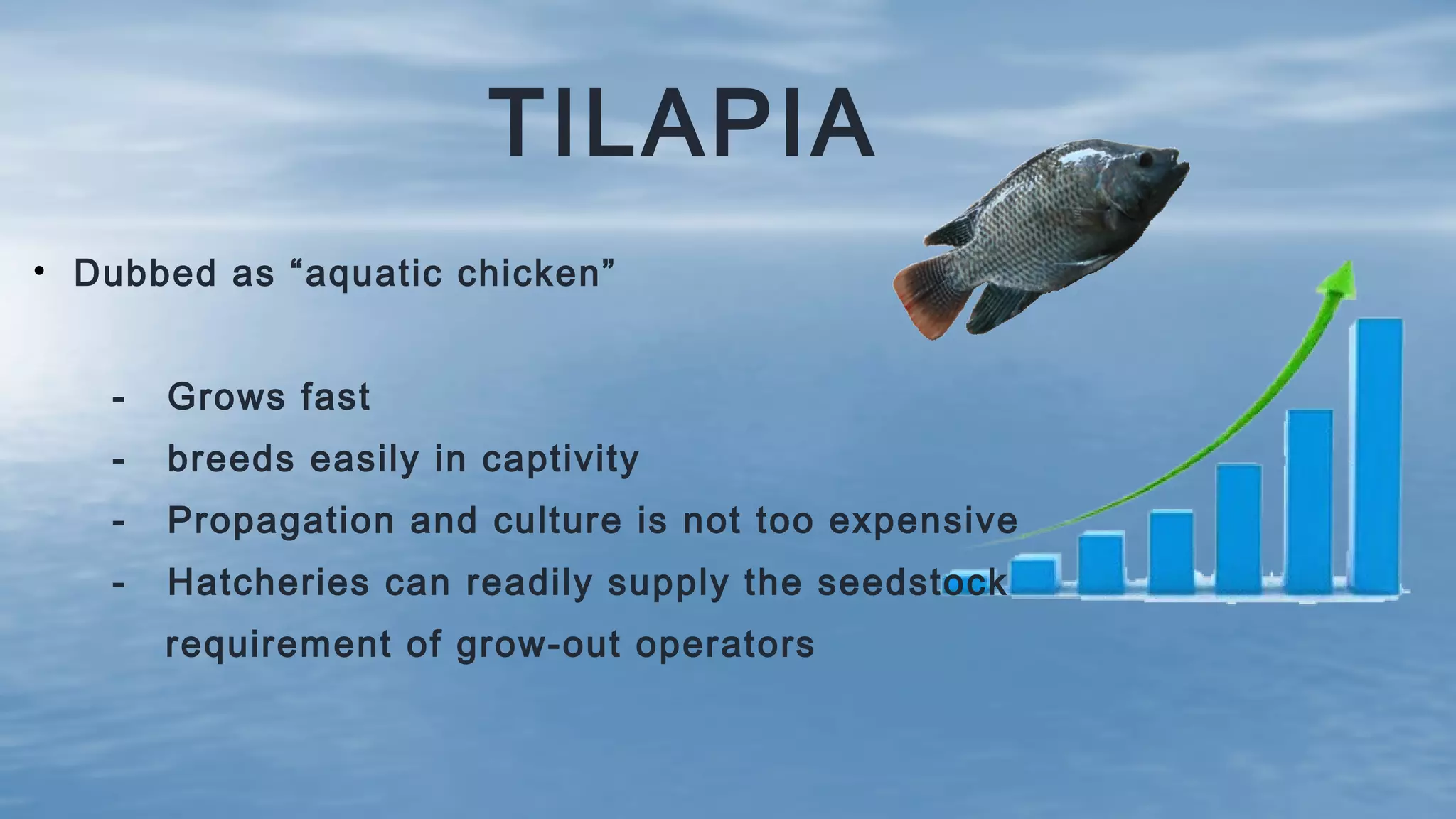 Tilapia Hatchery Management and Fingerling Production | PPT