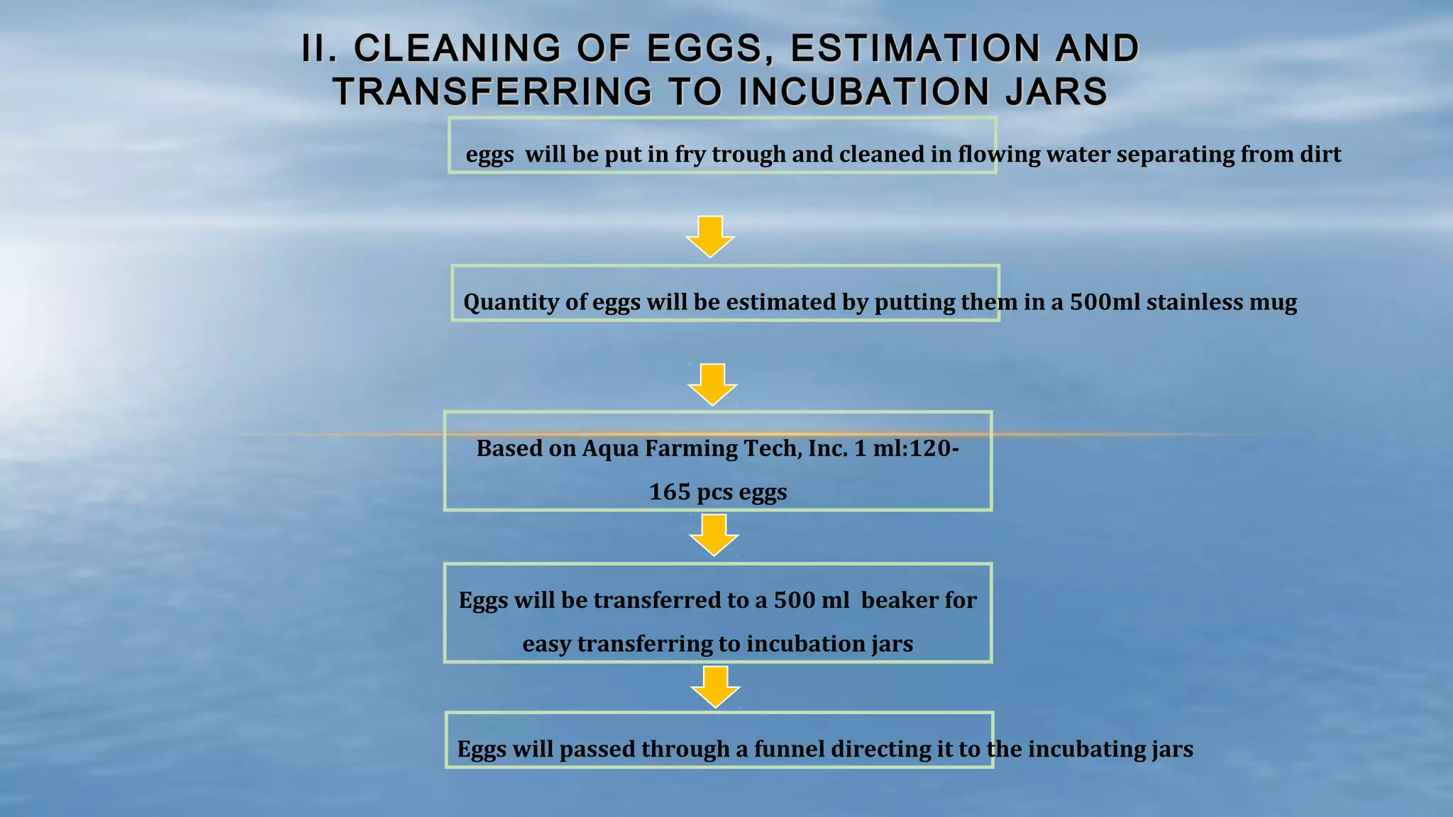 Tilapia Hatchery Management and Fingerling Production | PPT