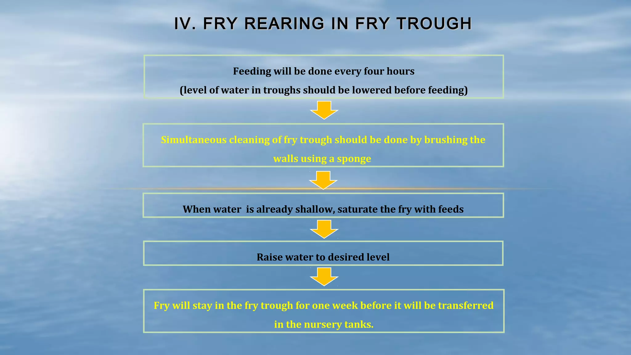 Tilapia Hatchery Management and Fingerling Production | PPT