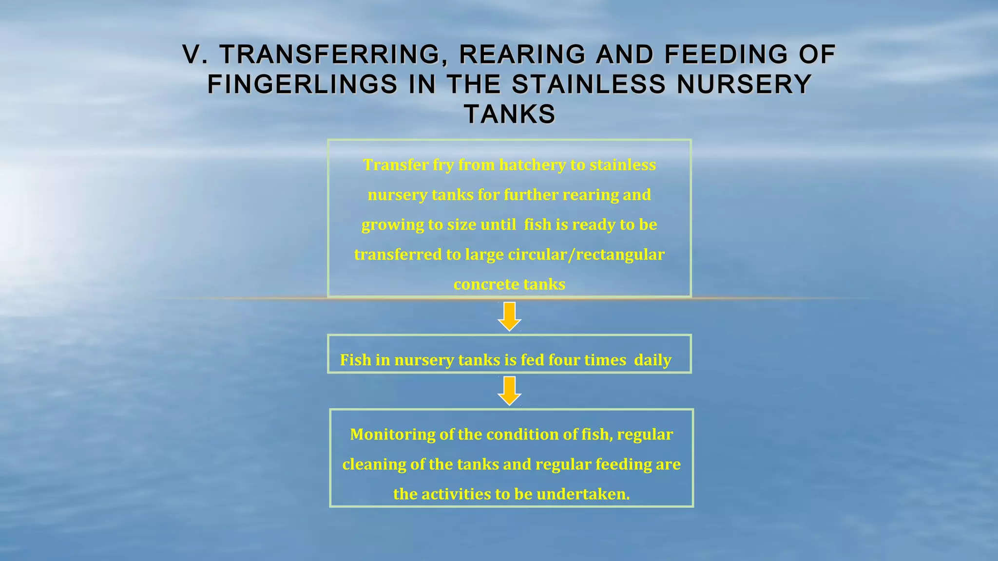Tilapia Hatchery Management and Fingerling Production | PPT