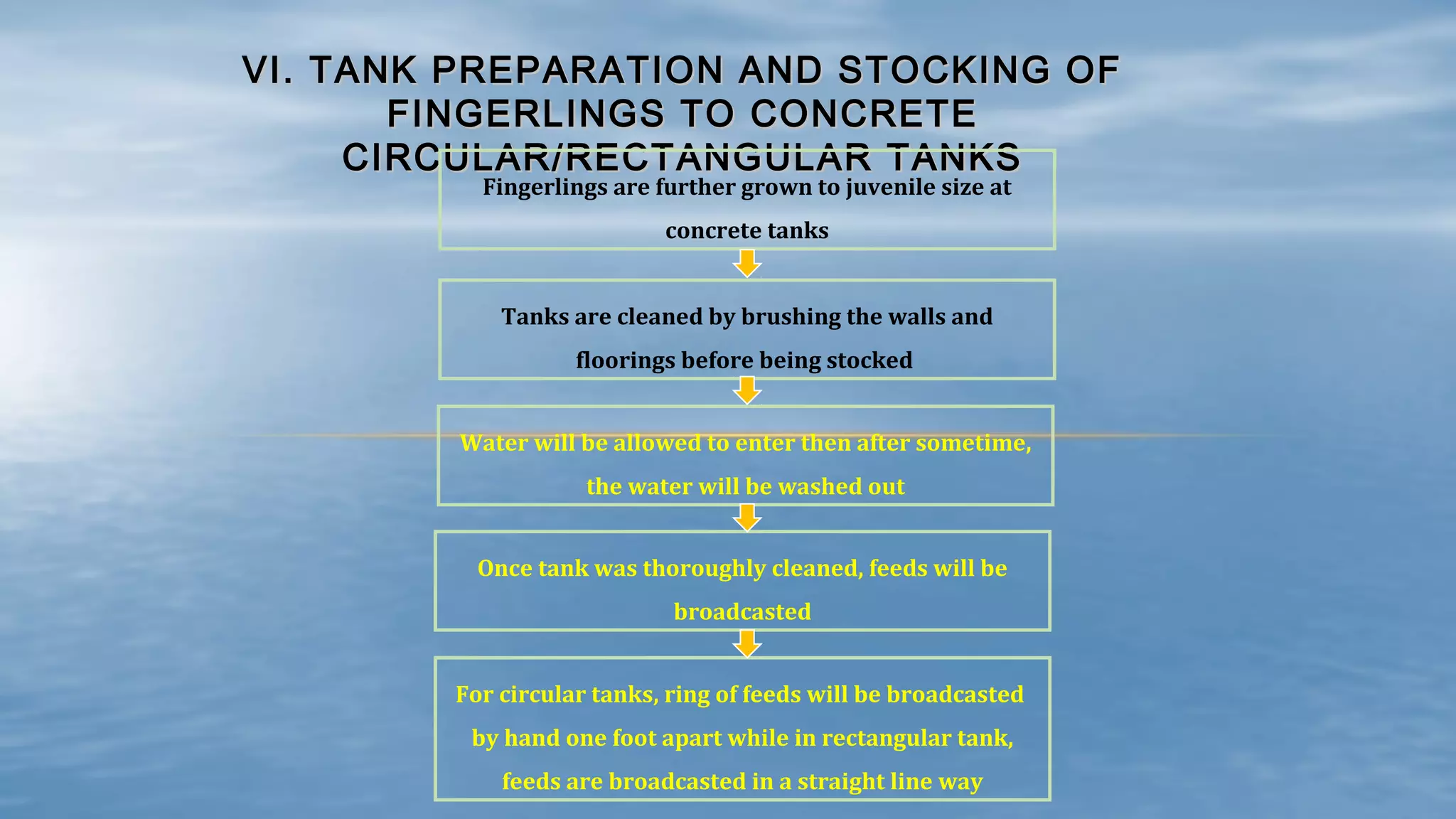 Tilapia Hatchery Management and Fingerling Production | PPT