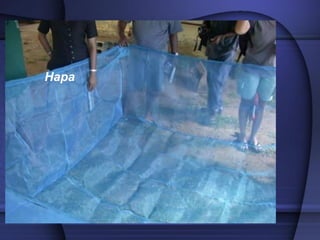 Tilapia hatchery operation.pdf