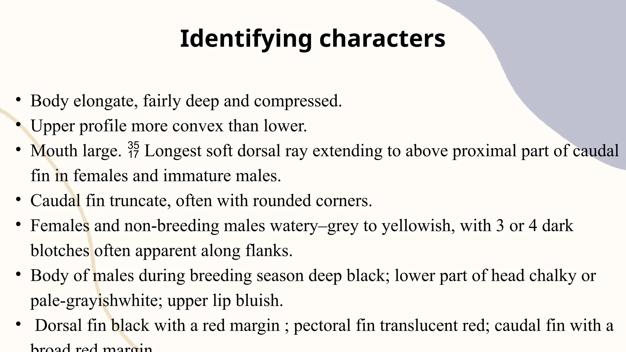 Tilapia ppt.pptx........................... | PPTX