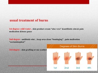 Tilapia skin burn bandage | PPT