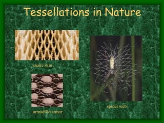 Tiling and tessellations | PPTX