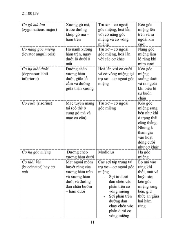 Tài liệu tóm tắt môn Giải phẫu đại cương - Trường Đại học Y Dược Hà Nội.pdf