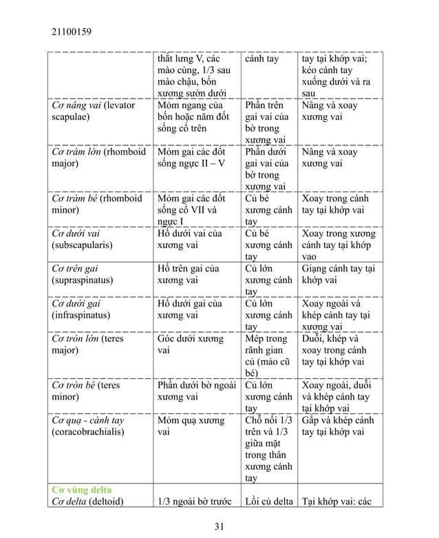 Tài liệu tóm tắt môn Giải phẫu đại cương - Trường Đại học Y Dược Hà Nội.pdf