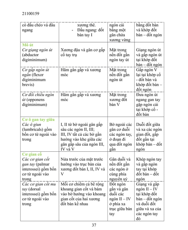 Tài liệu tóm tắt môn Giải phẫu đại cương - Trường Đại học Y Dược Hà Nội.pdf
