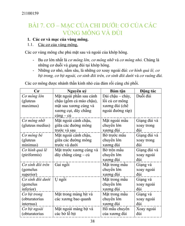 Tài liệu tóm tắt môn Giải phẫu đại cương - Trường Đại học Y Dược Hà Nội.pdf