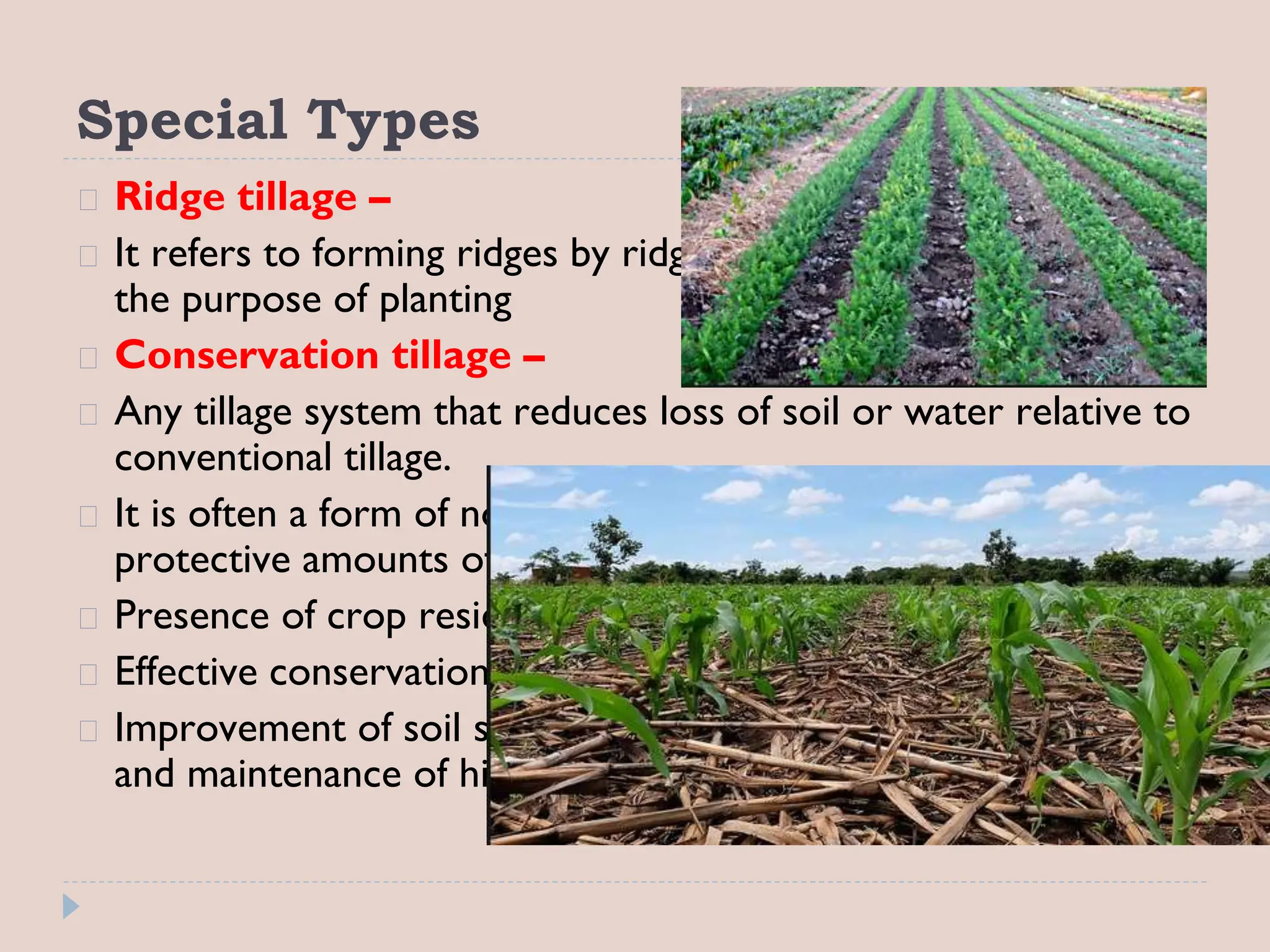 Tillage practices for an agricultural field | PPT