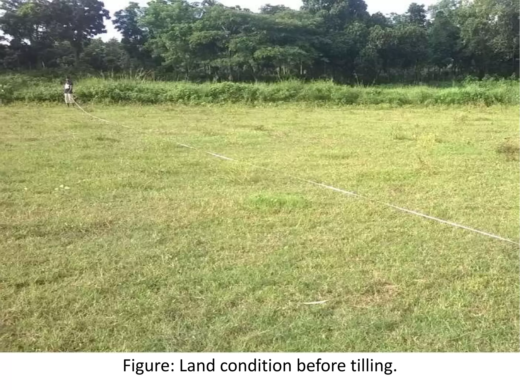 Tillage pattern vs fuel consumption | PPTX