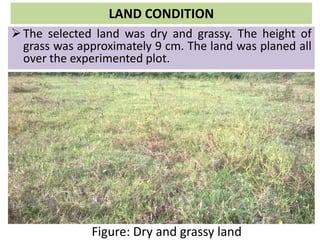 Tillage pattern vs fuel consumption | PPTX