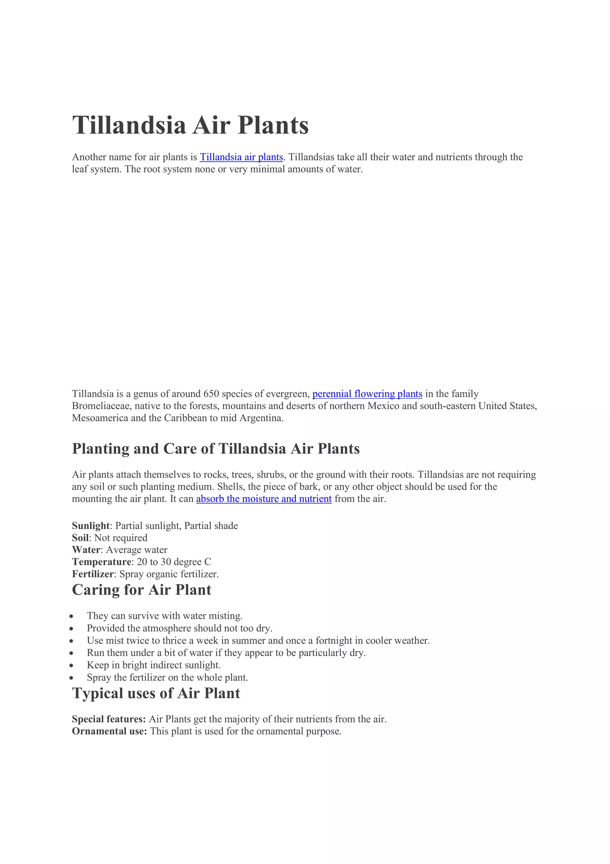Tillandsia air plants | PDF