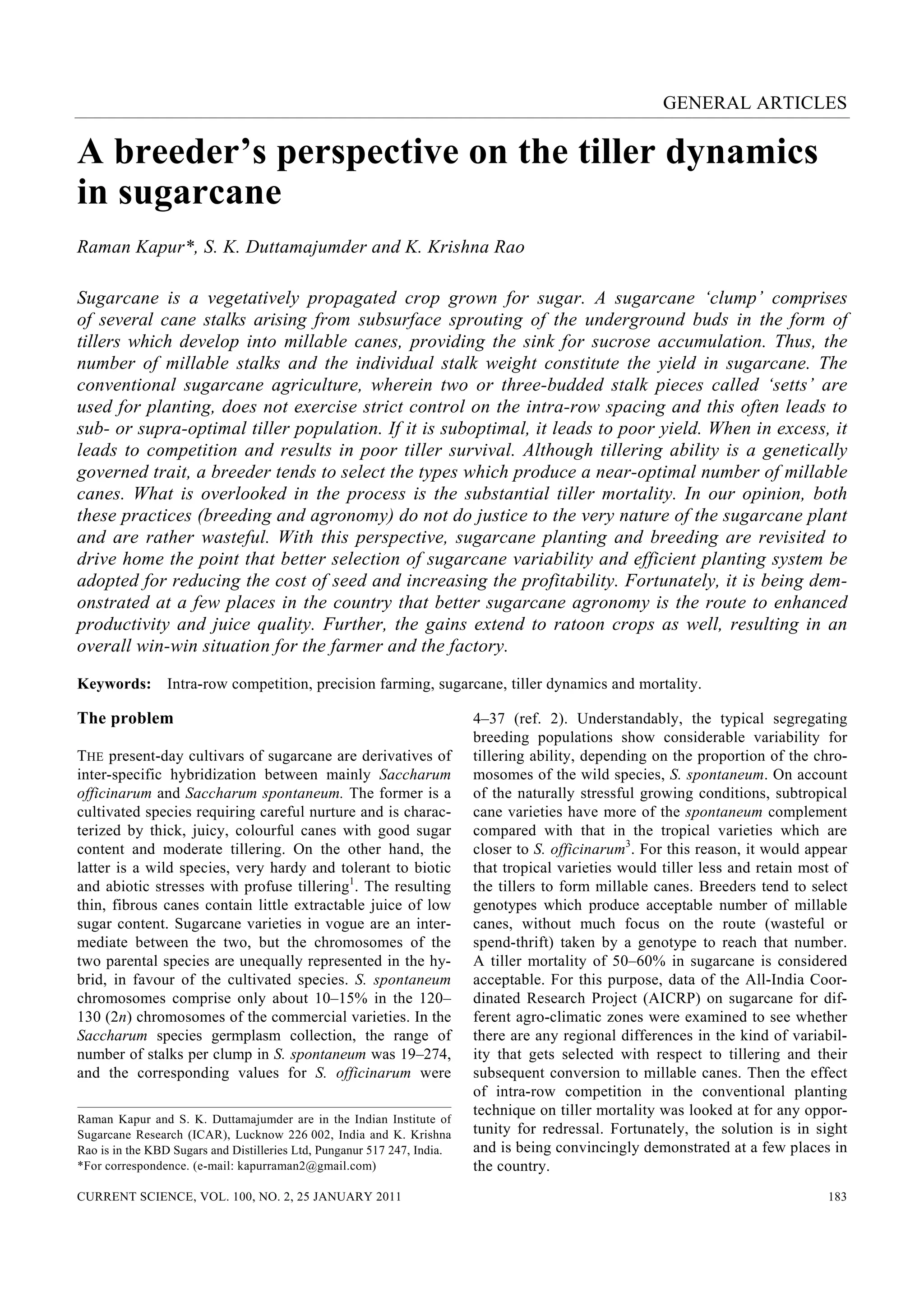 Tiller dynamics in sugarcane | PDF