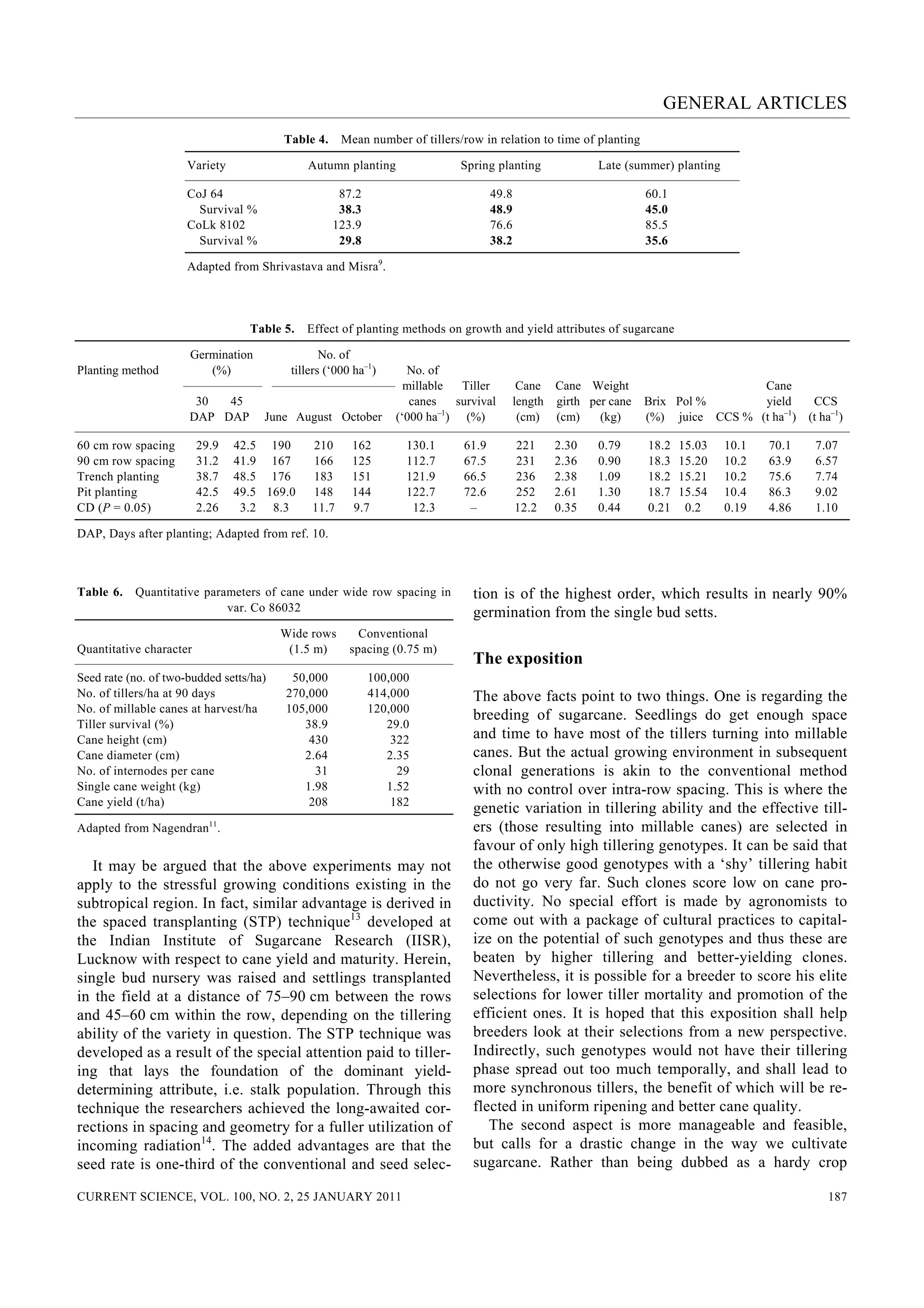 Tiller dynamics in sugarcane | PDF