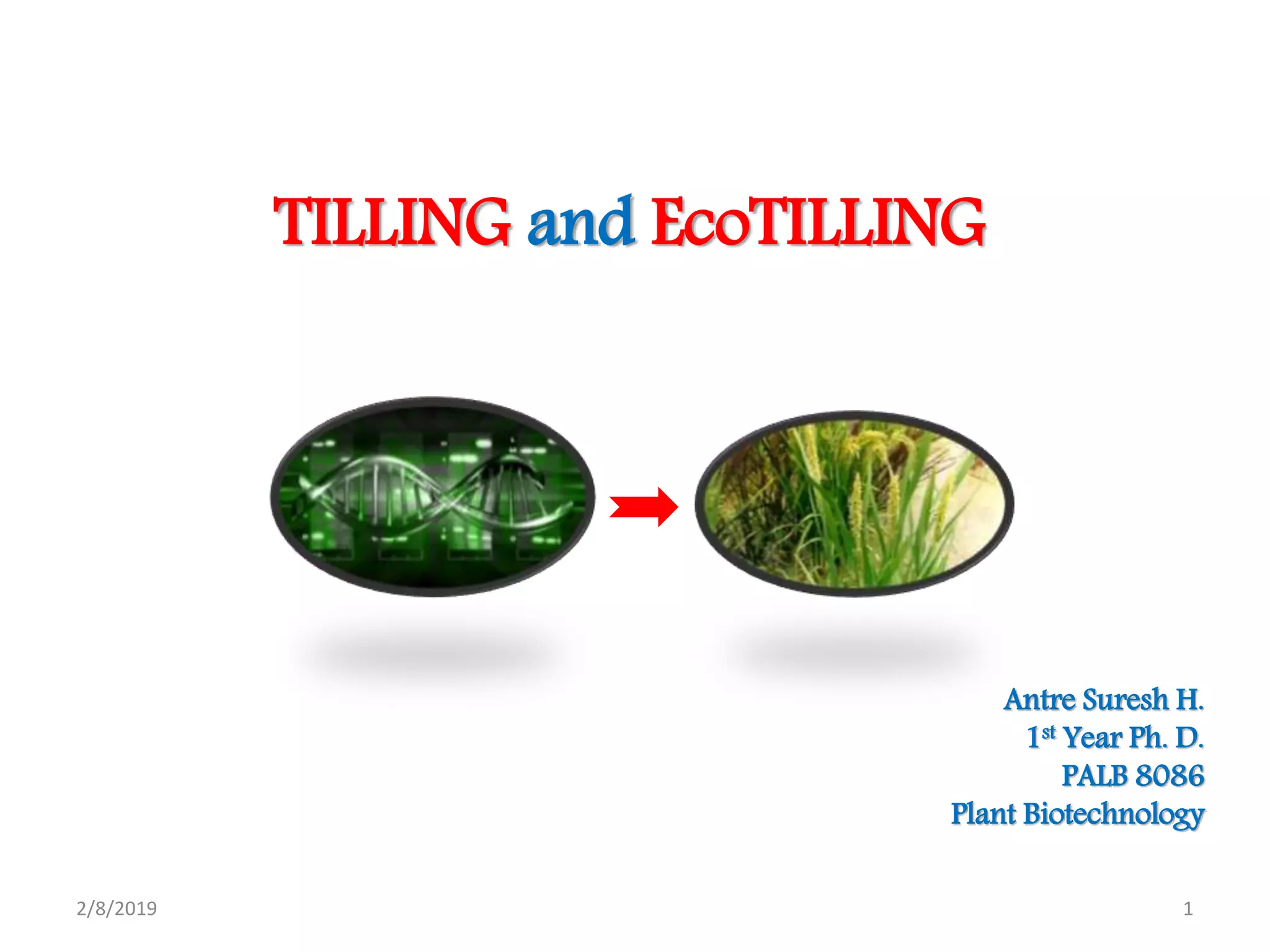 Tilling and eco tilling | PPTX
