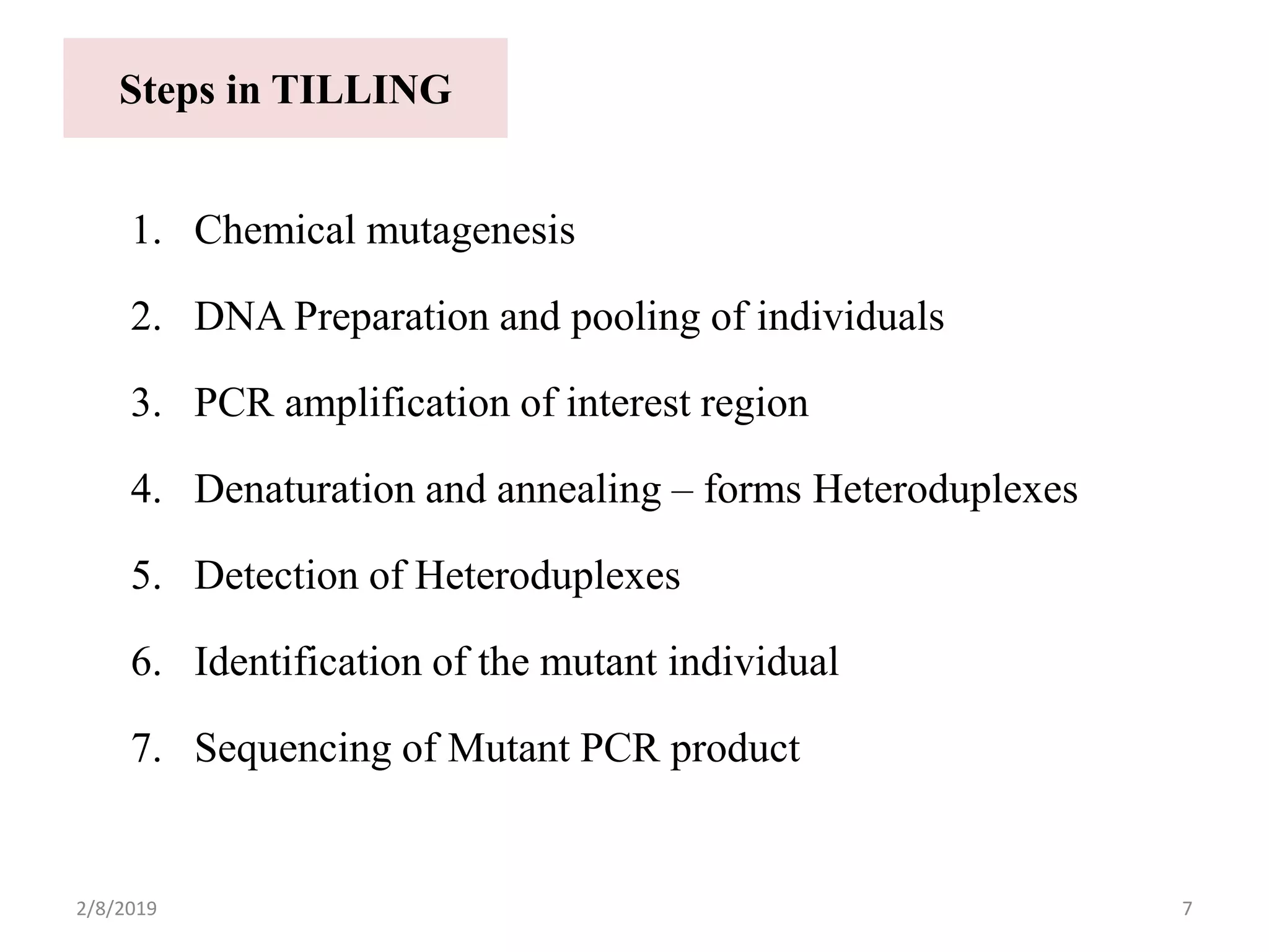 Tilling and eco tilling | PPTX