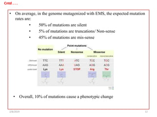 Tilling and eco tilling | PPTX