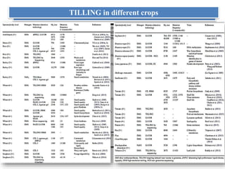 Tilling and eco tilling | PPTX