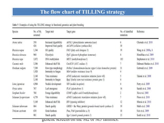 Tilling and eco tilling | PPTX