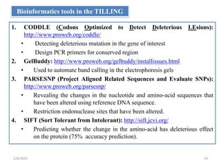 Tilling and eco tilling | PPTX