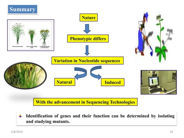 Tilling and eco tilling | PPTX | Chemistry | Science
