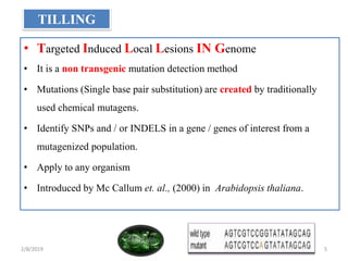 Tilling and eco tilling | PPTX