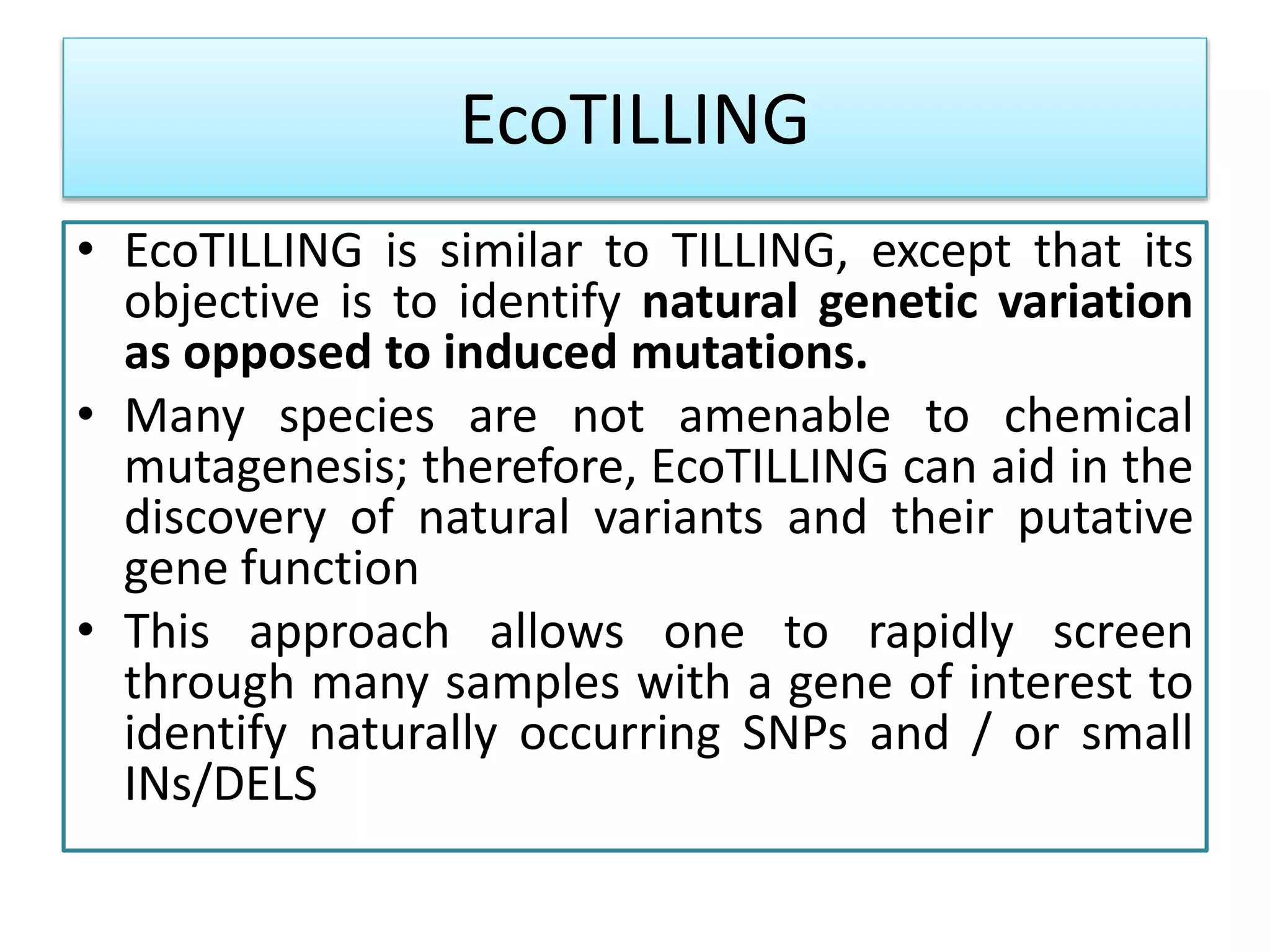 Tilling and ecotilling | PPTX