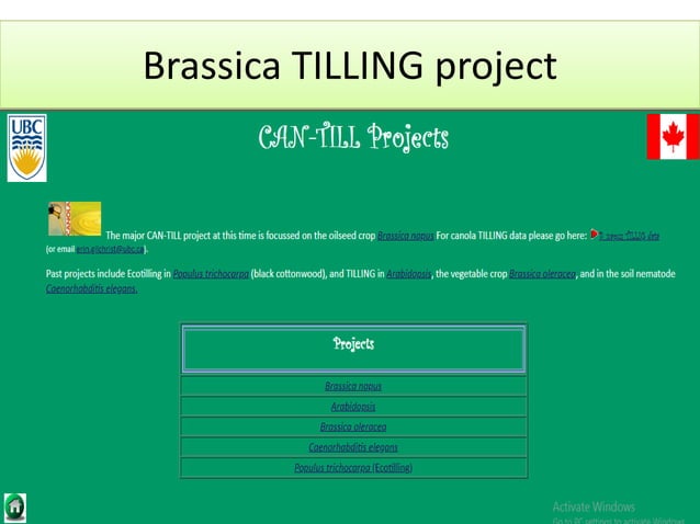 Tilling and ecotilling | PPTX | Gardening | Home & Garden