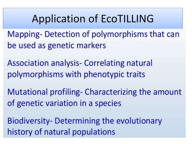Tilling and ecotilling | PPTX | Gardening | Home & Garden
