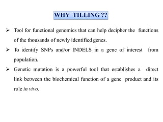 Tilling & Eco-tilling.pptx