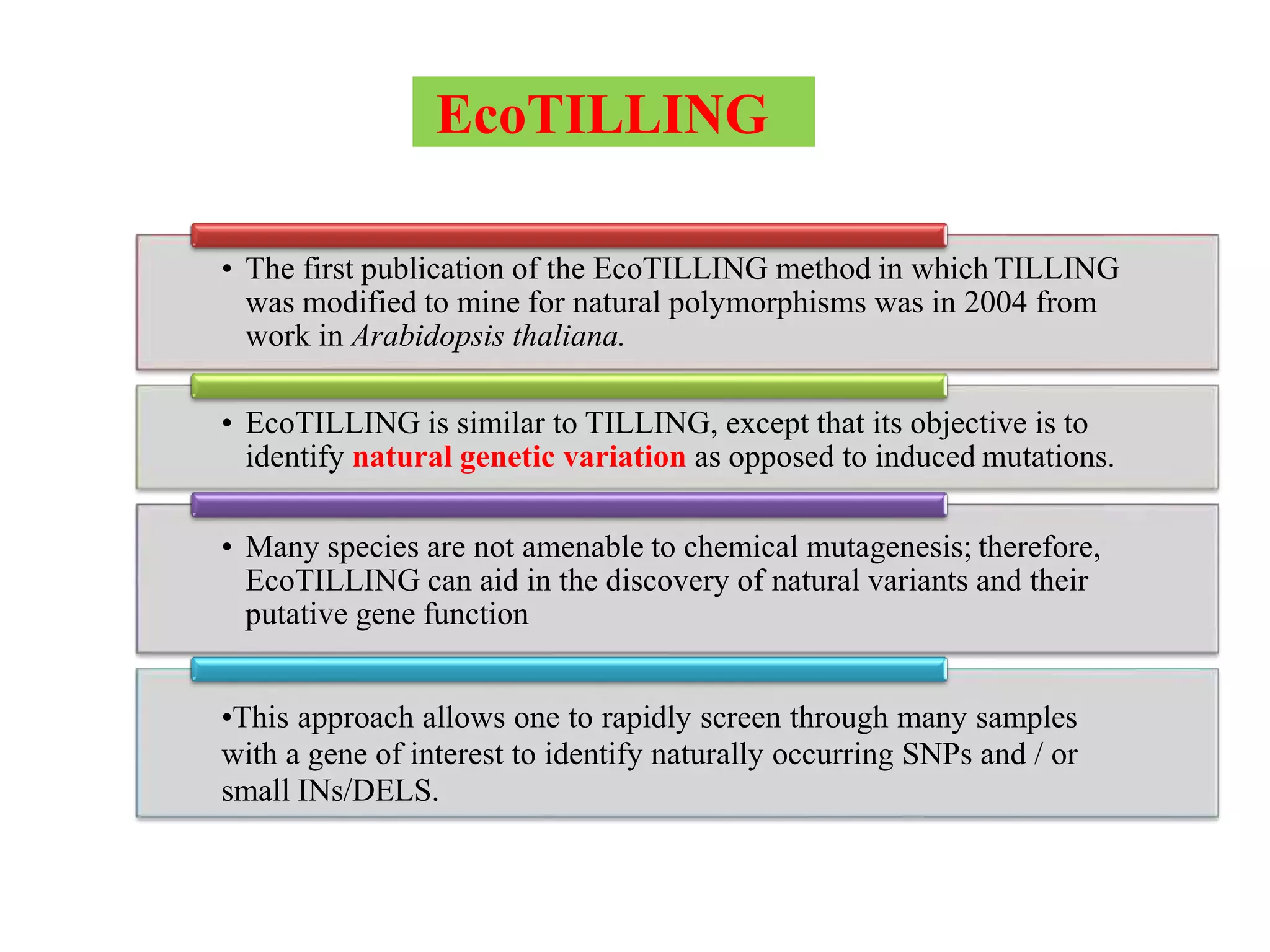 TILLING & ECO-TILLING | PPTX