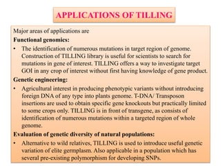 TILLING & ECO-TILLING | PPTX