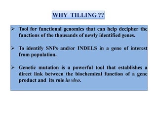 TILLING & ECO-TILLING | PPTX